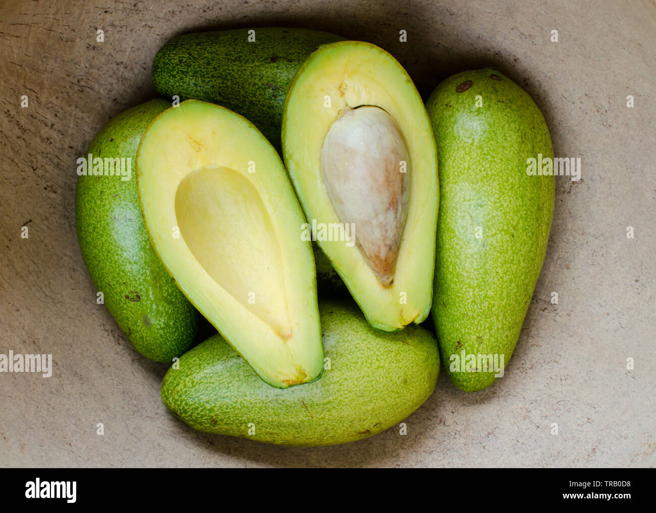 Aguacate criollo hi-res stock photography and images - Alamy