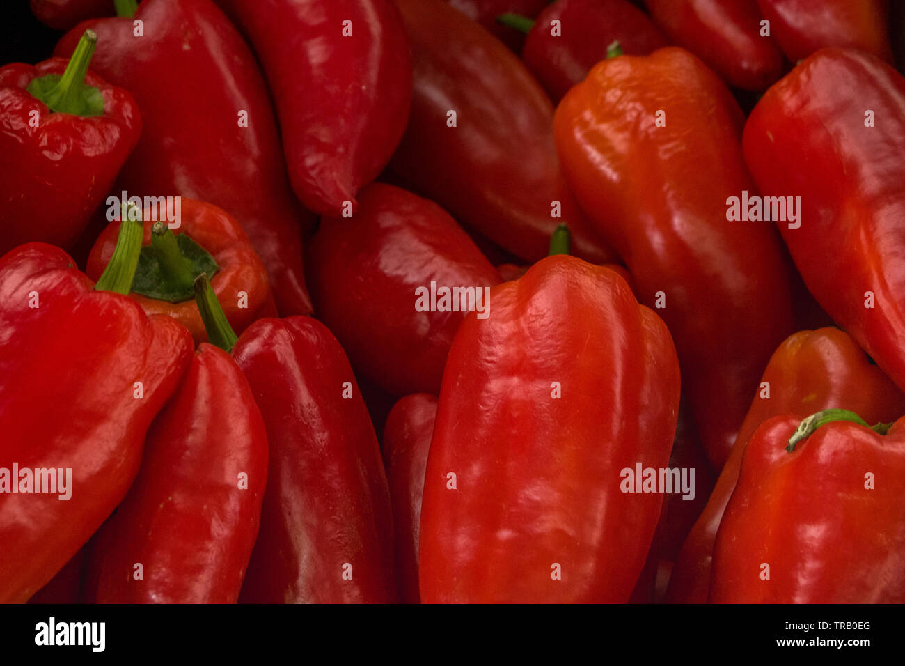 Red Marconi Pepper background. Red Marconi Pepper background Stock ...