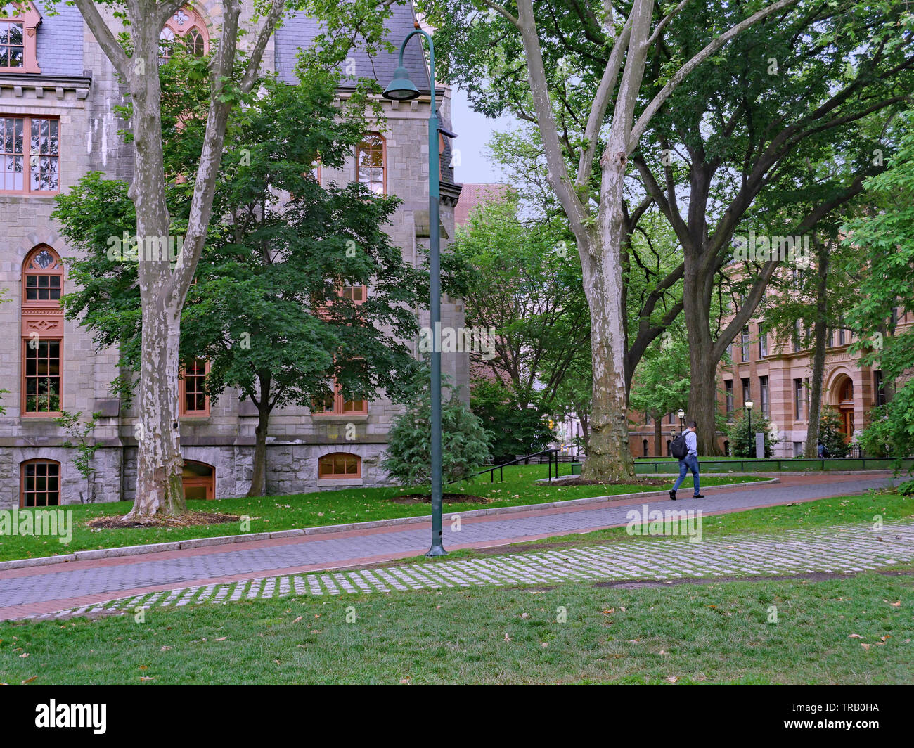 University of pennsylvania quadrangle hi-res stock photography and ...