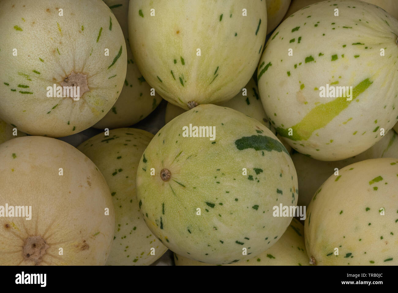 Mini watermelon hi-res stock photography and images - Alamy