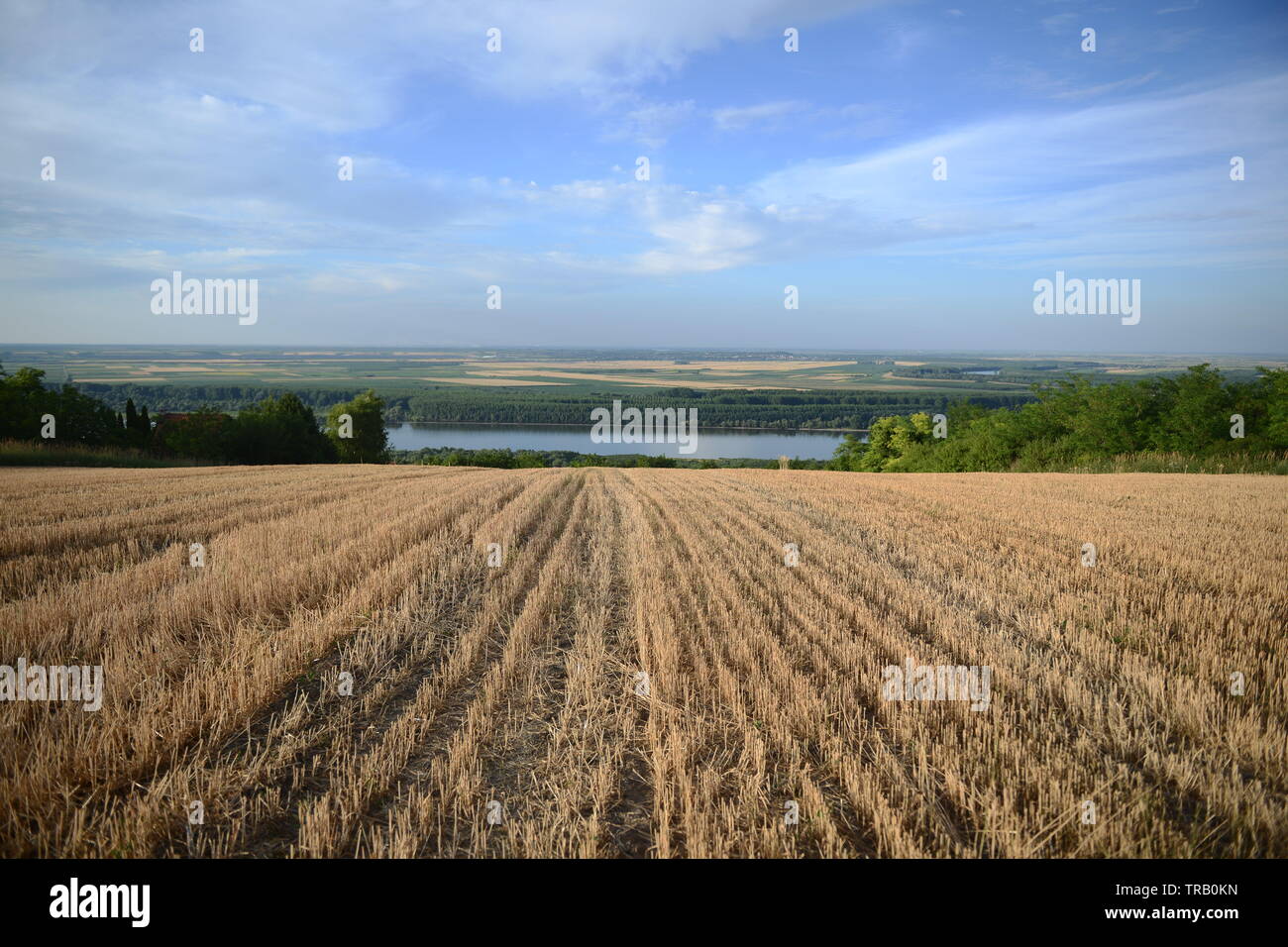 A field overlooking the river Stock Photo - Alamy