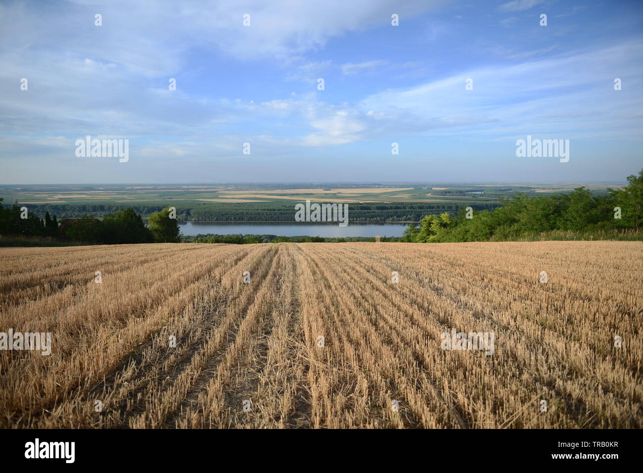 A field overlooking the river Stock Photo - Alamy