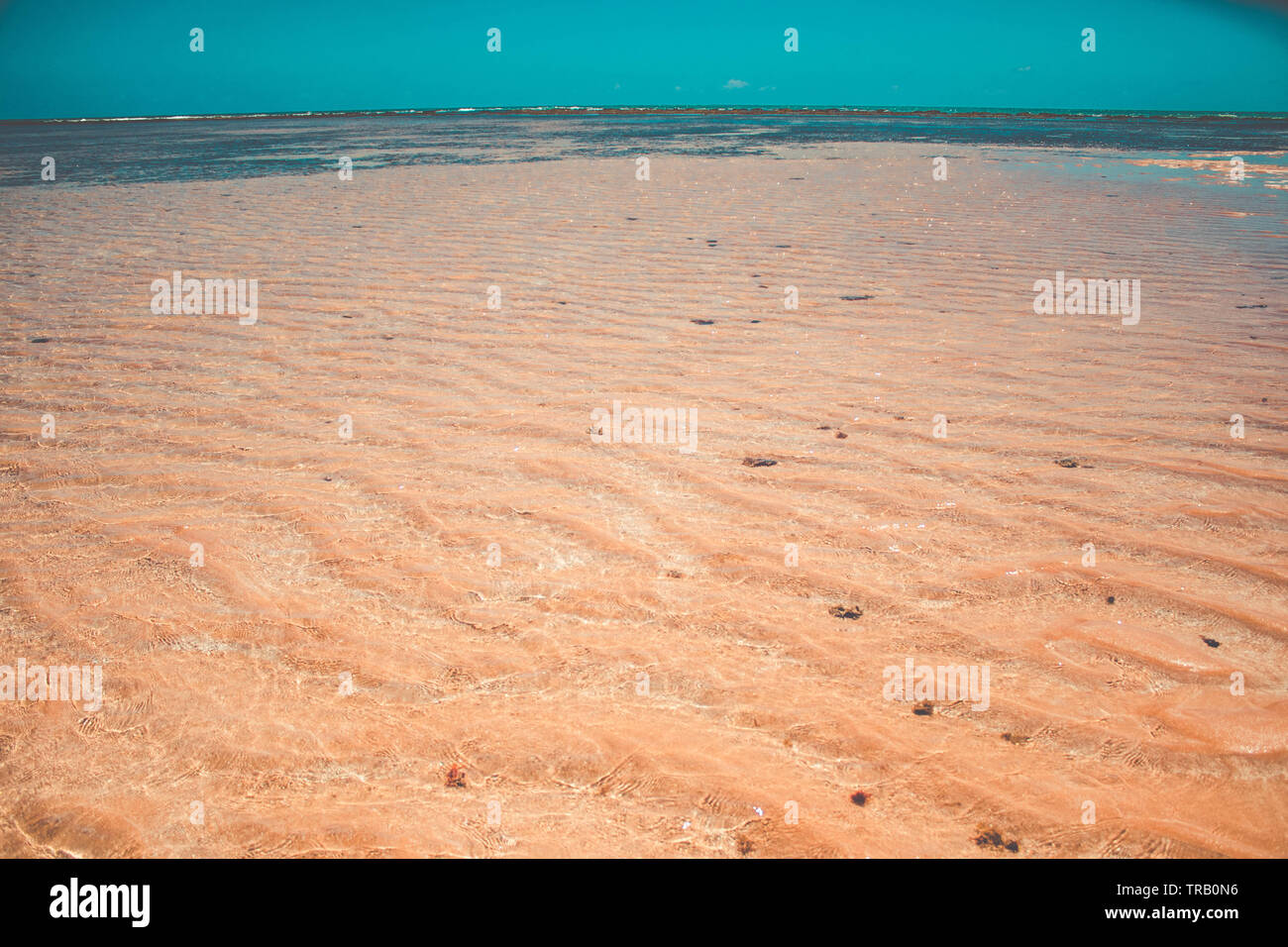 sand ridges and ripples on beach with blue water in Paraiba, Brazil ...