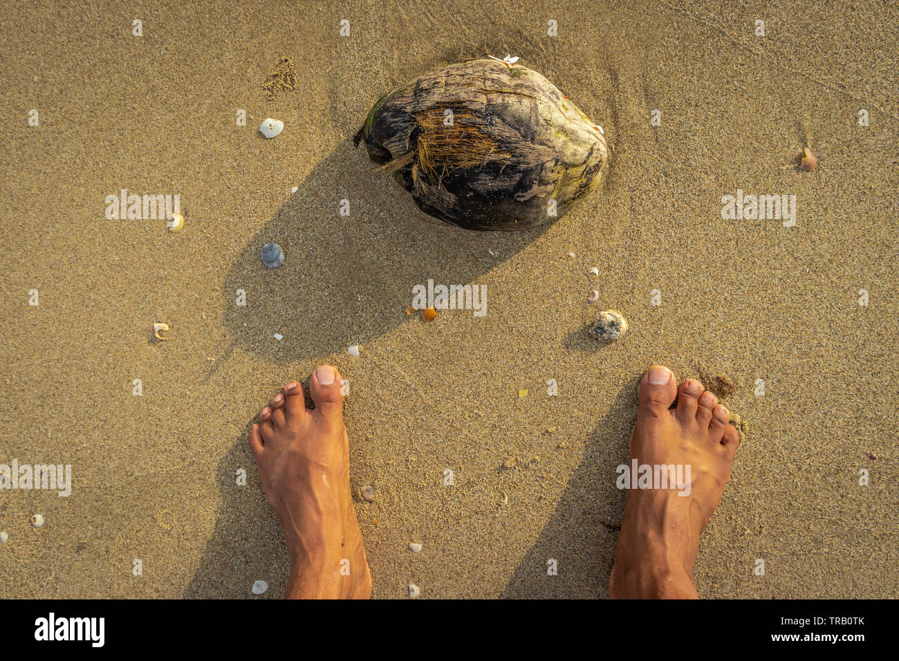 Human Food and nature Stock Photo - Alamy