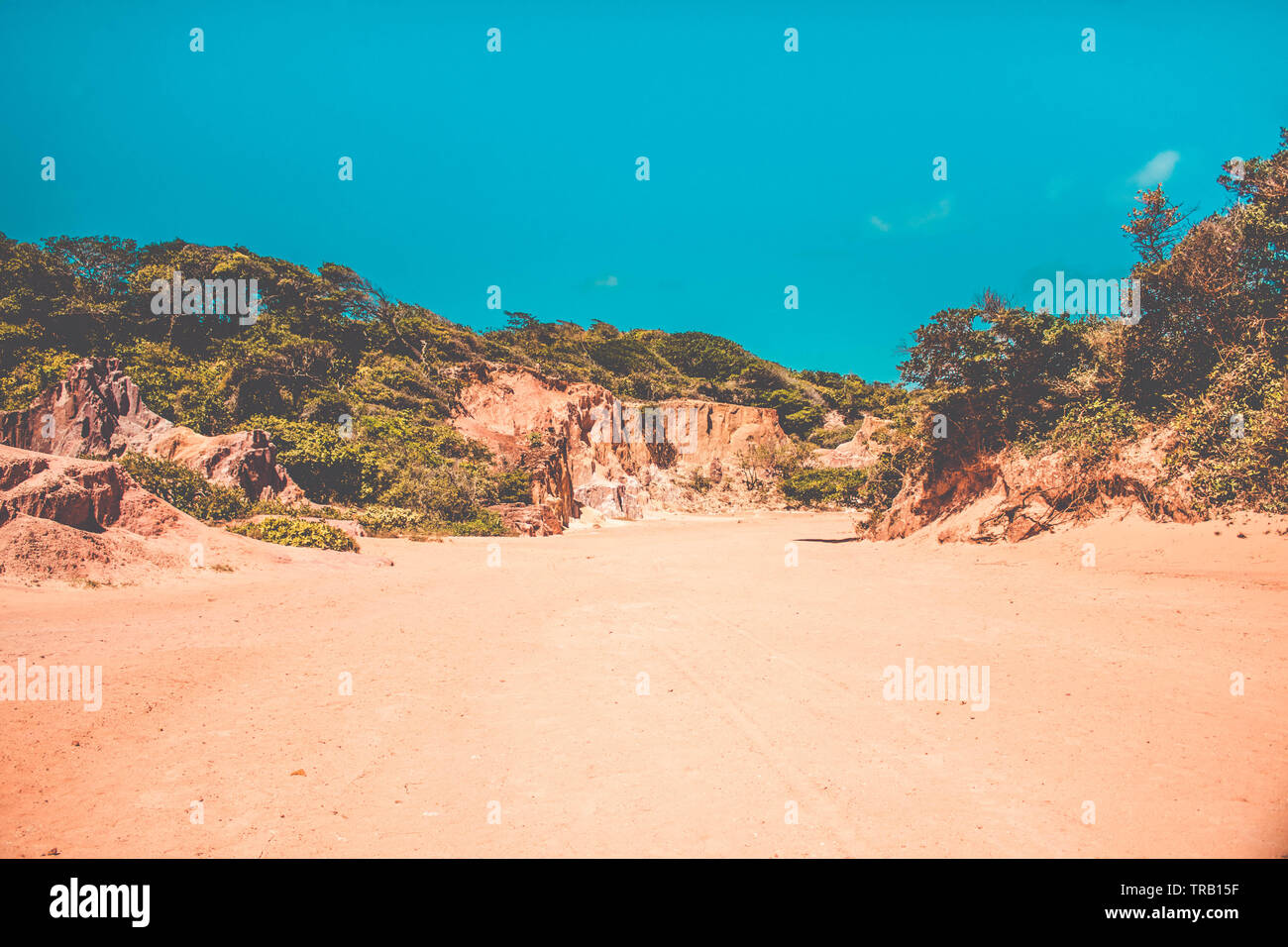 Red cliffs at Coqueirinho's beach in Conde, Paraiba, Brazil Stock Photo ...