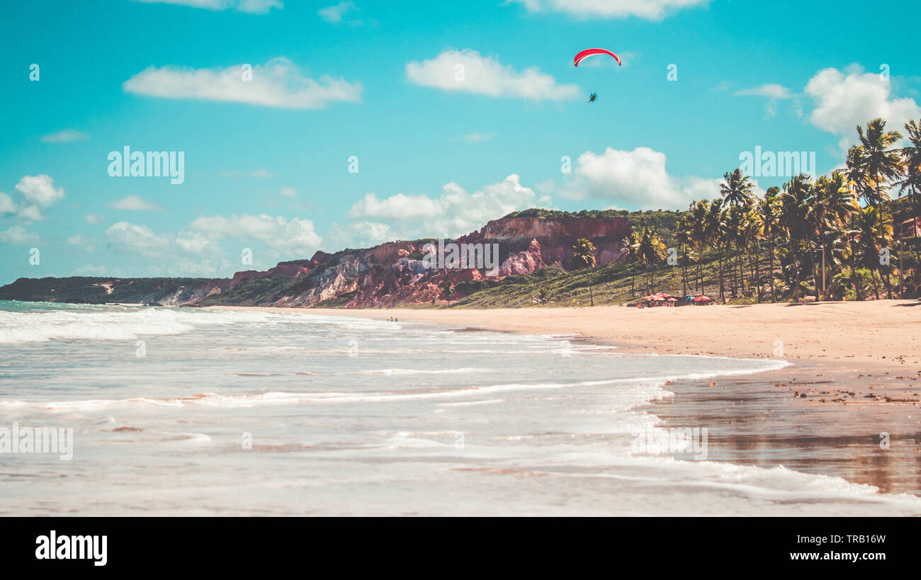 Paragliding in the sky. Paraglider flying over the beach in bright ...