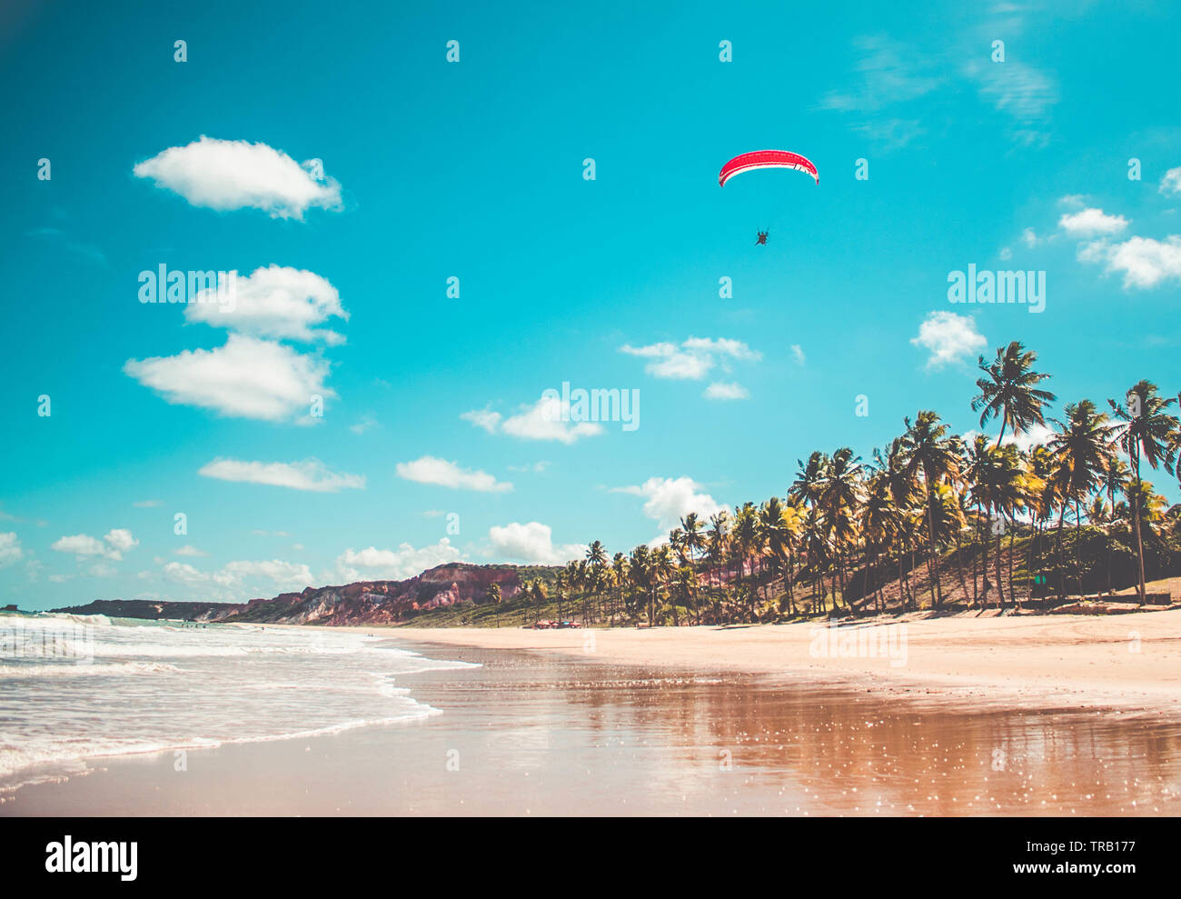 Paragliding in the sky. Paraglider flying over the beach in bright ...