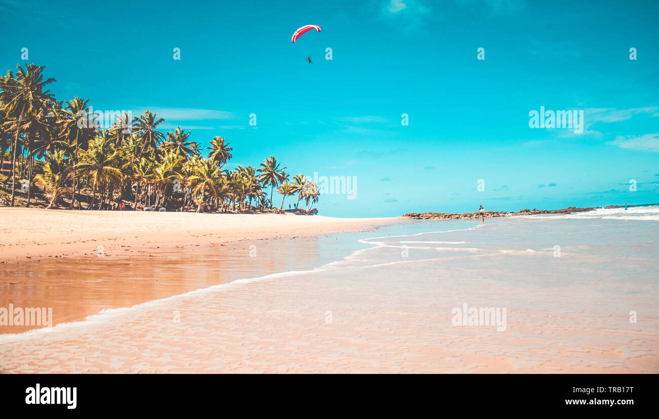 Paragliding in the sky. Paraglider flying over the beach in bright ...