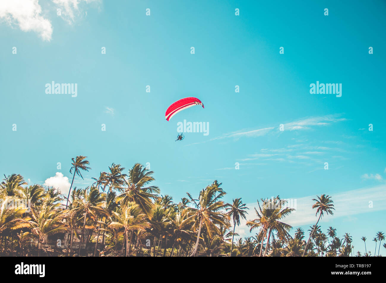 Paragliding in the sky. Paraglider flying over the beach in bright ...