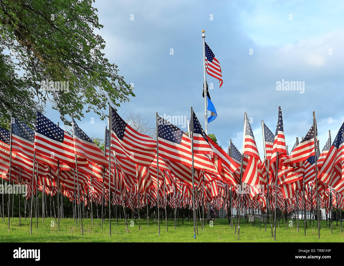 Memorial Day in USA - American flags arranged in rows on Fort Square ...