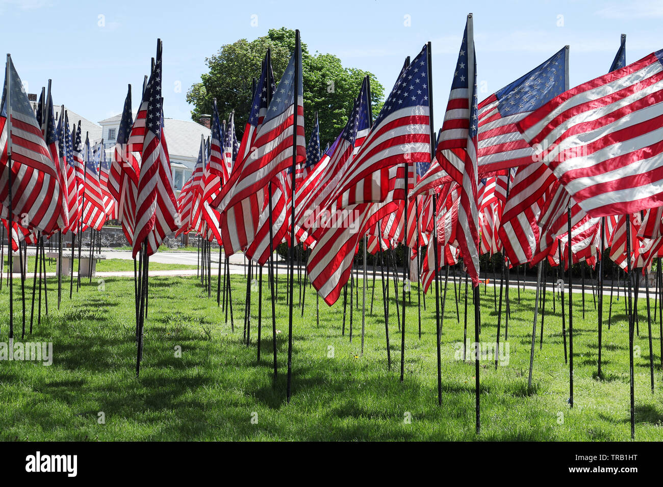 Boston pride flag hi-res stock photography and images - Alamy