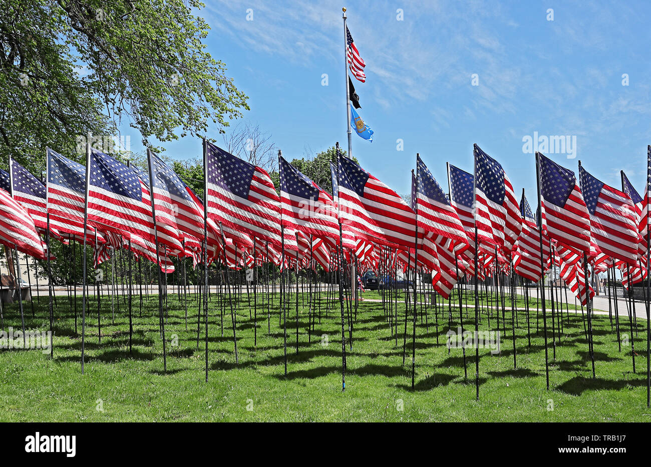 Memorial Day in USA - American flags arranged in rows on Fort Square ...