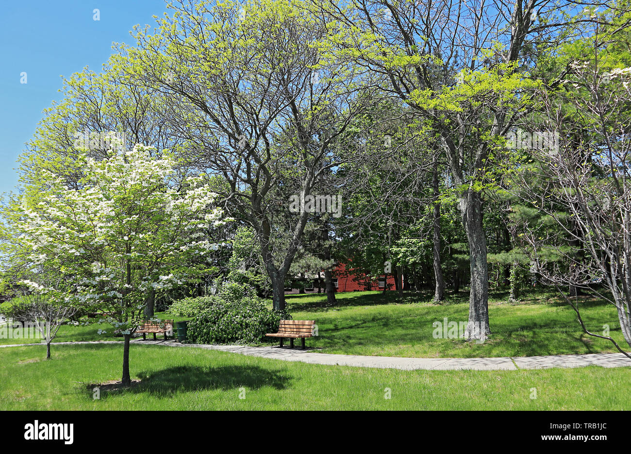 Suburban neighborhood park hi-res stock photography and images - Alamy