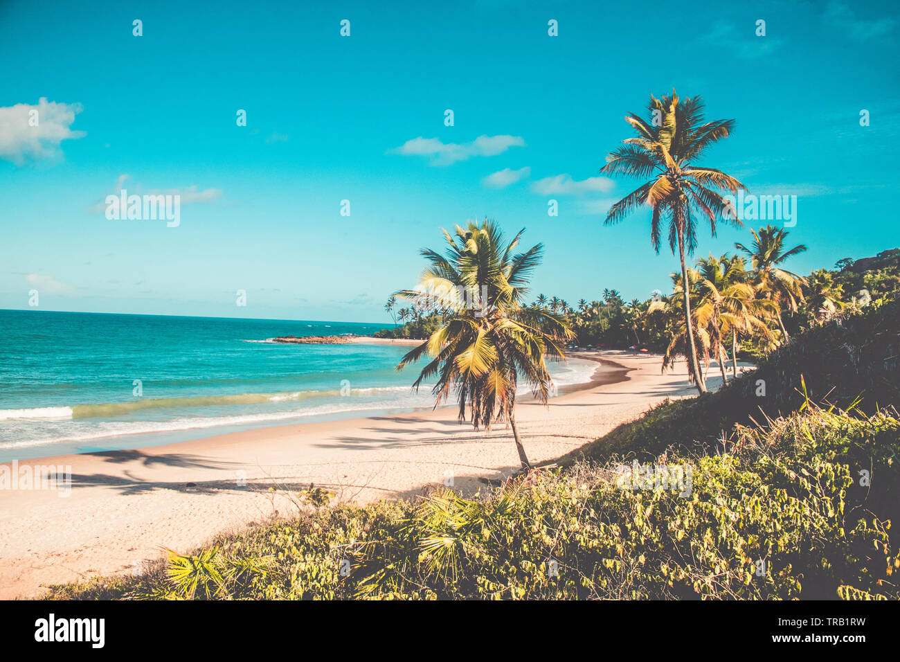 Tabatinga's beach in paraiba, brazil hi-res stock photography and ...