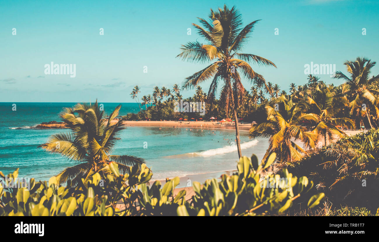 Aerial view of Tabatinga's beach in Paraiba, Brazil - "Falesias ...