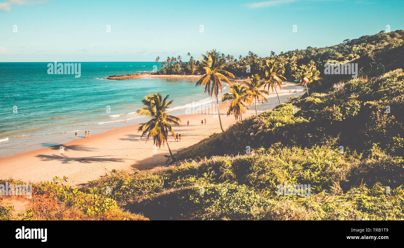 Aerial view of Tabatinga's beach in Paraiba, Brazil - "Falesias ...