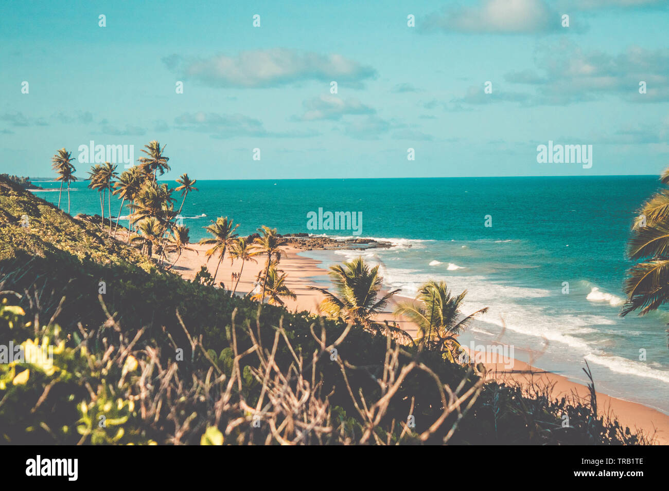 Aerial view of Tabatinga's beach in Paraiba, Brazil - "Falesias ...