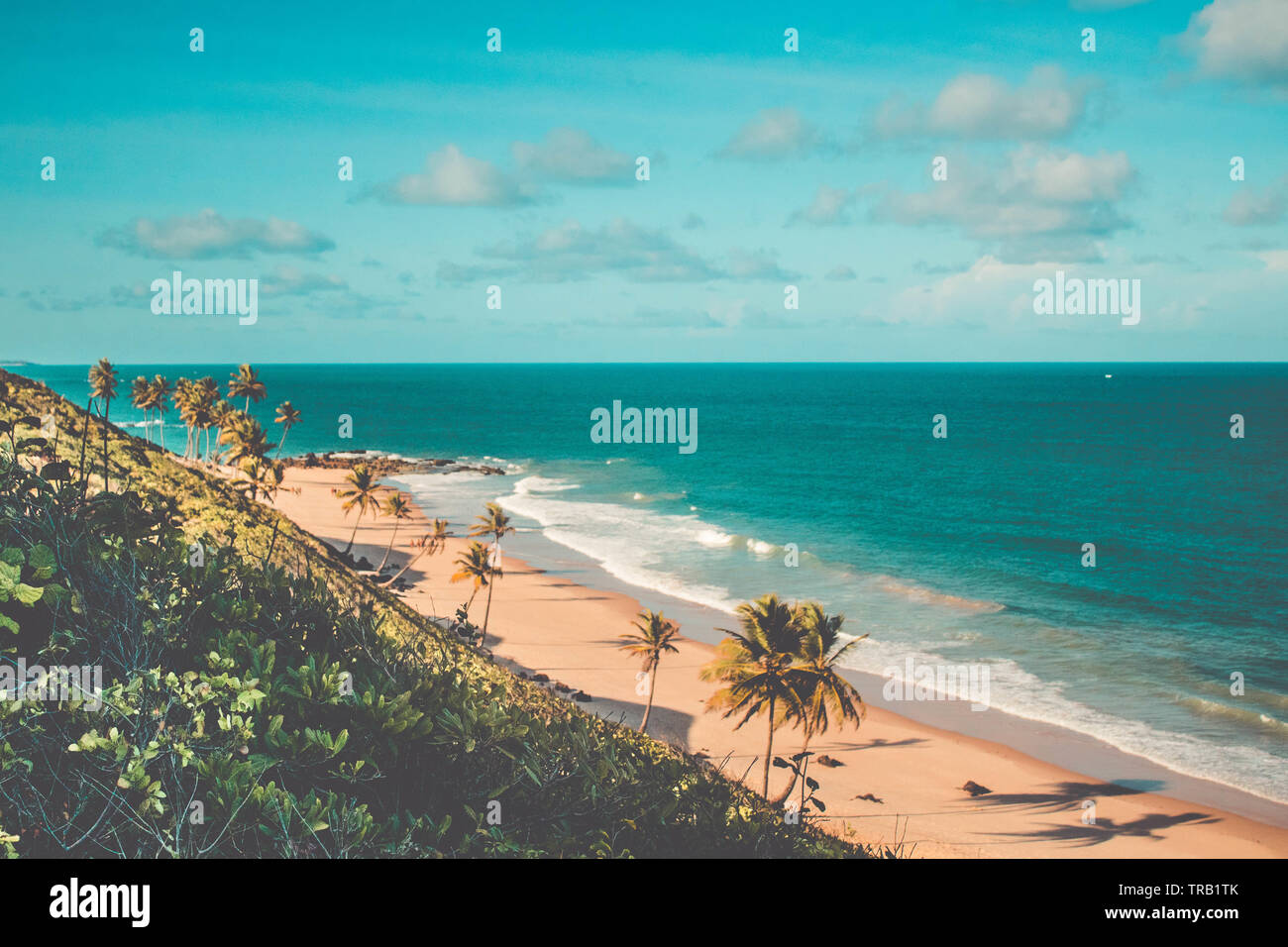 Aerial view of Tabatinga's beach in Paraiba, Brazil - "Falesias ...