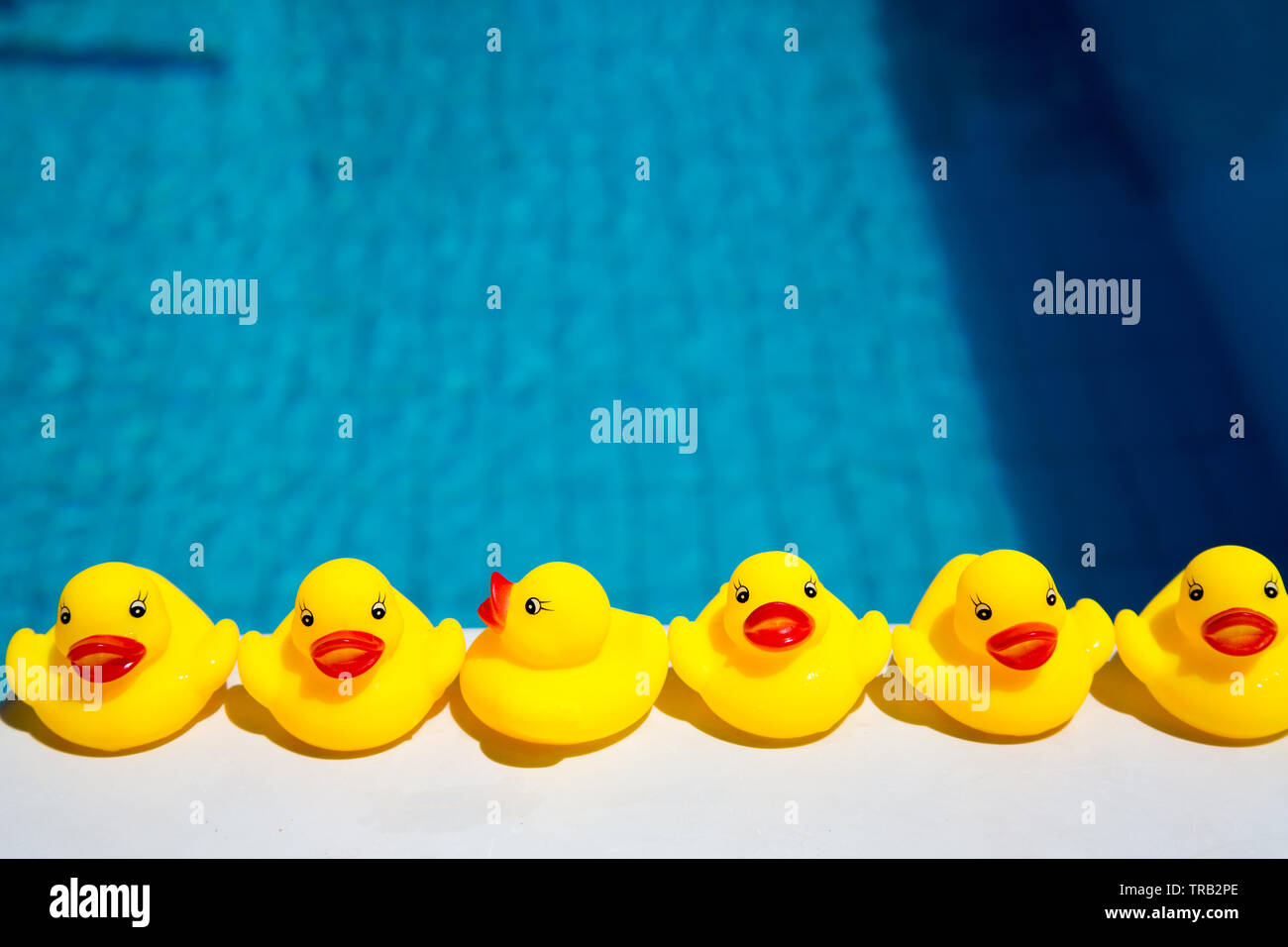 Yellow plastic ducks, bath time toy ducks lined up by a swimming pool ...