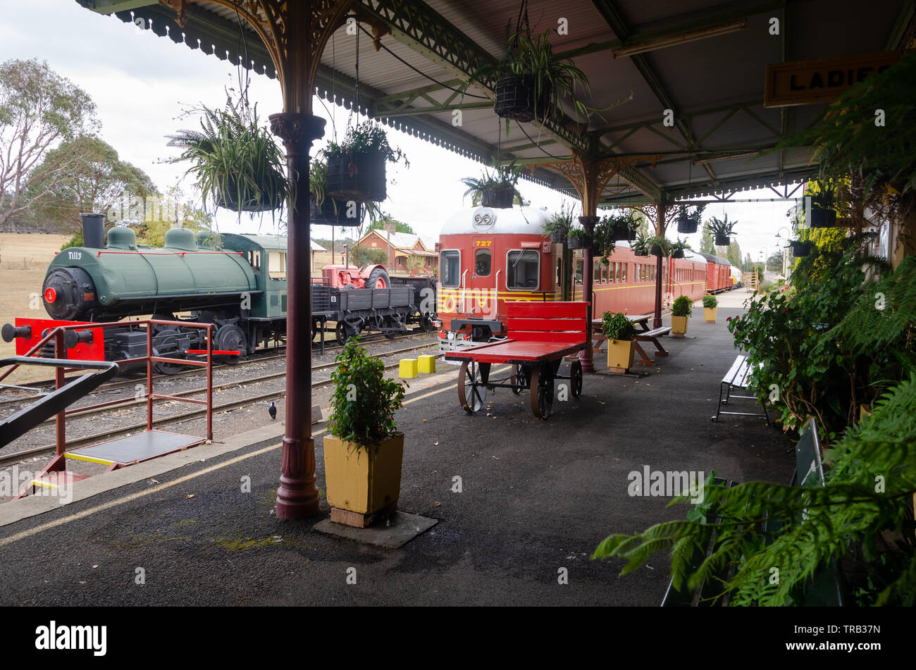 Saddle tank steam locomotive hi-res stock photography and images - Alamy