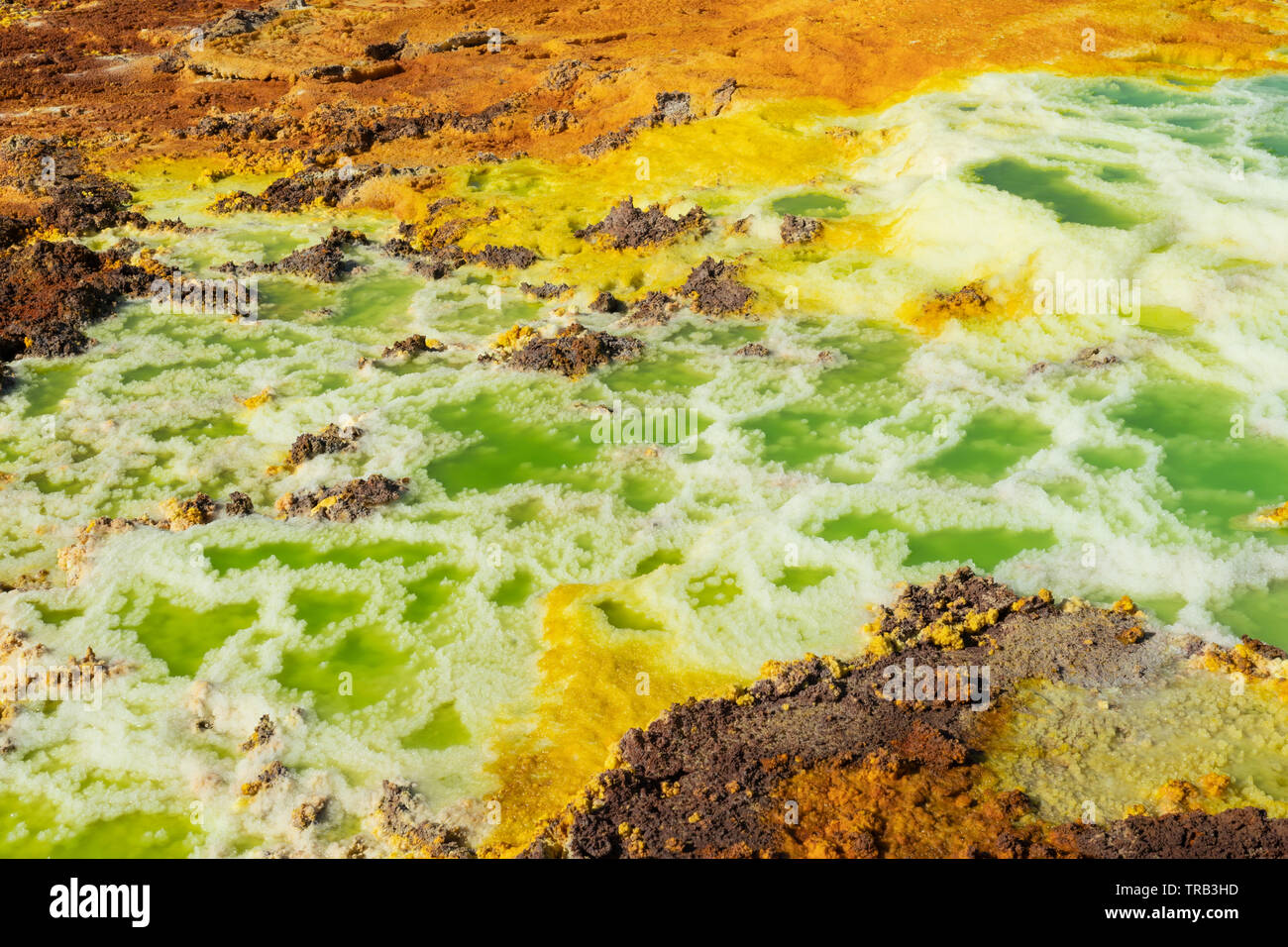 Acid ponds in Dallol site in the Danakil Depression in Ethiopia, Africa ...