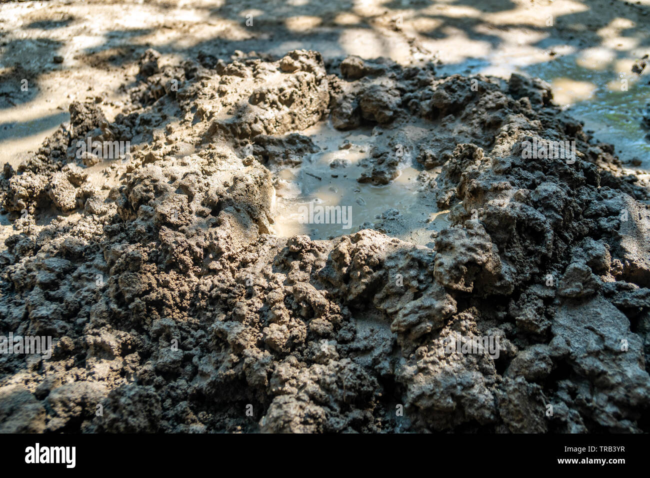 Kneading of cement for construction, solution preparation, object Stock ...