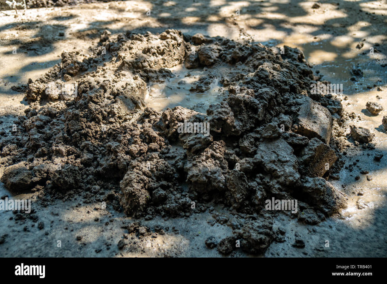 Kneading of cement for construction, solution preparation, object Stock ...