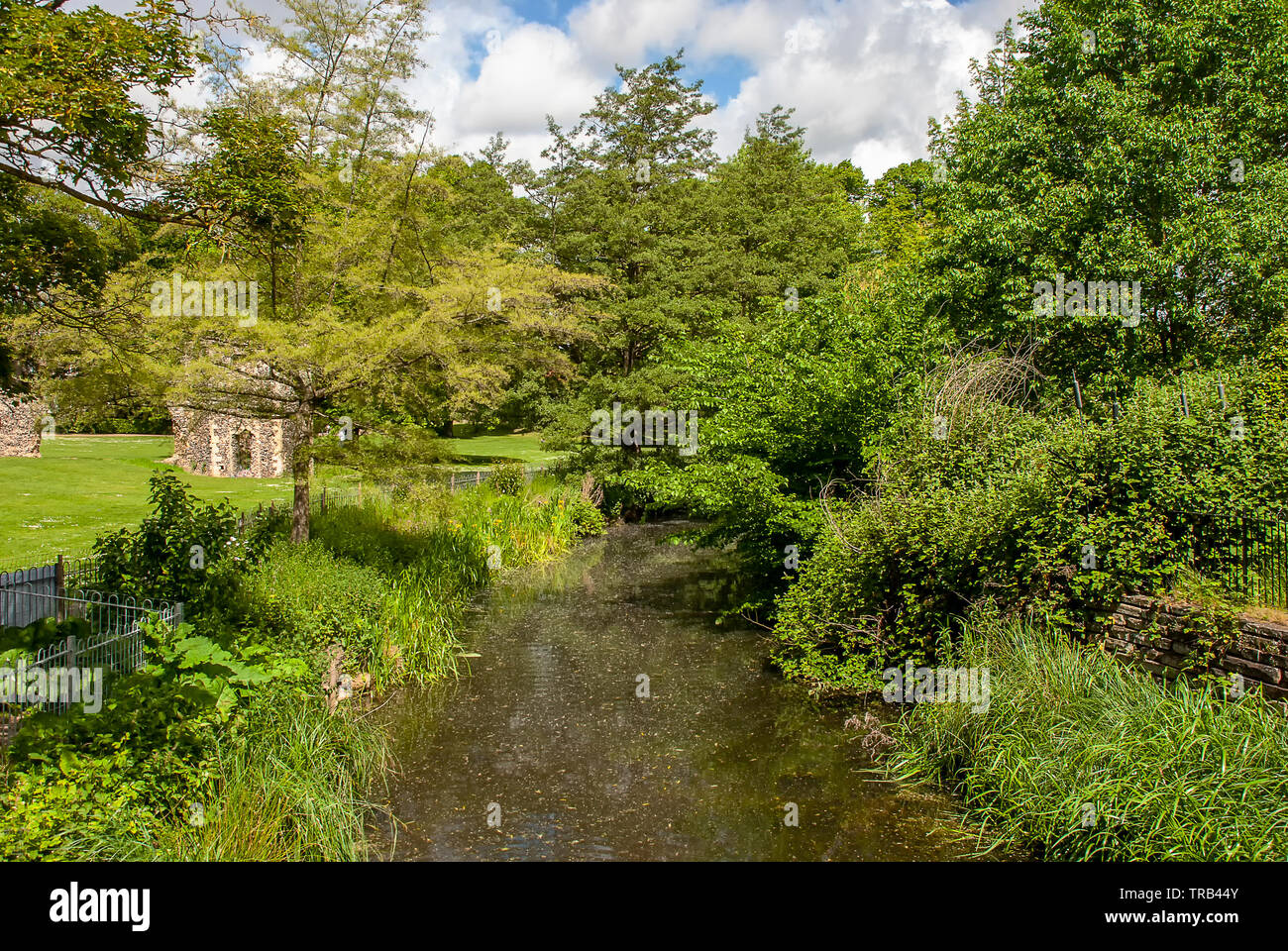 The River Lark next to the Abbey Gardens in Bury St Edmunds, Suffolk ...