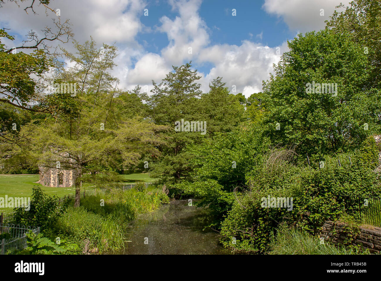 The River Lark next to the Abbey Gardens in Bury St Edmunds, Suffolk ...