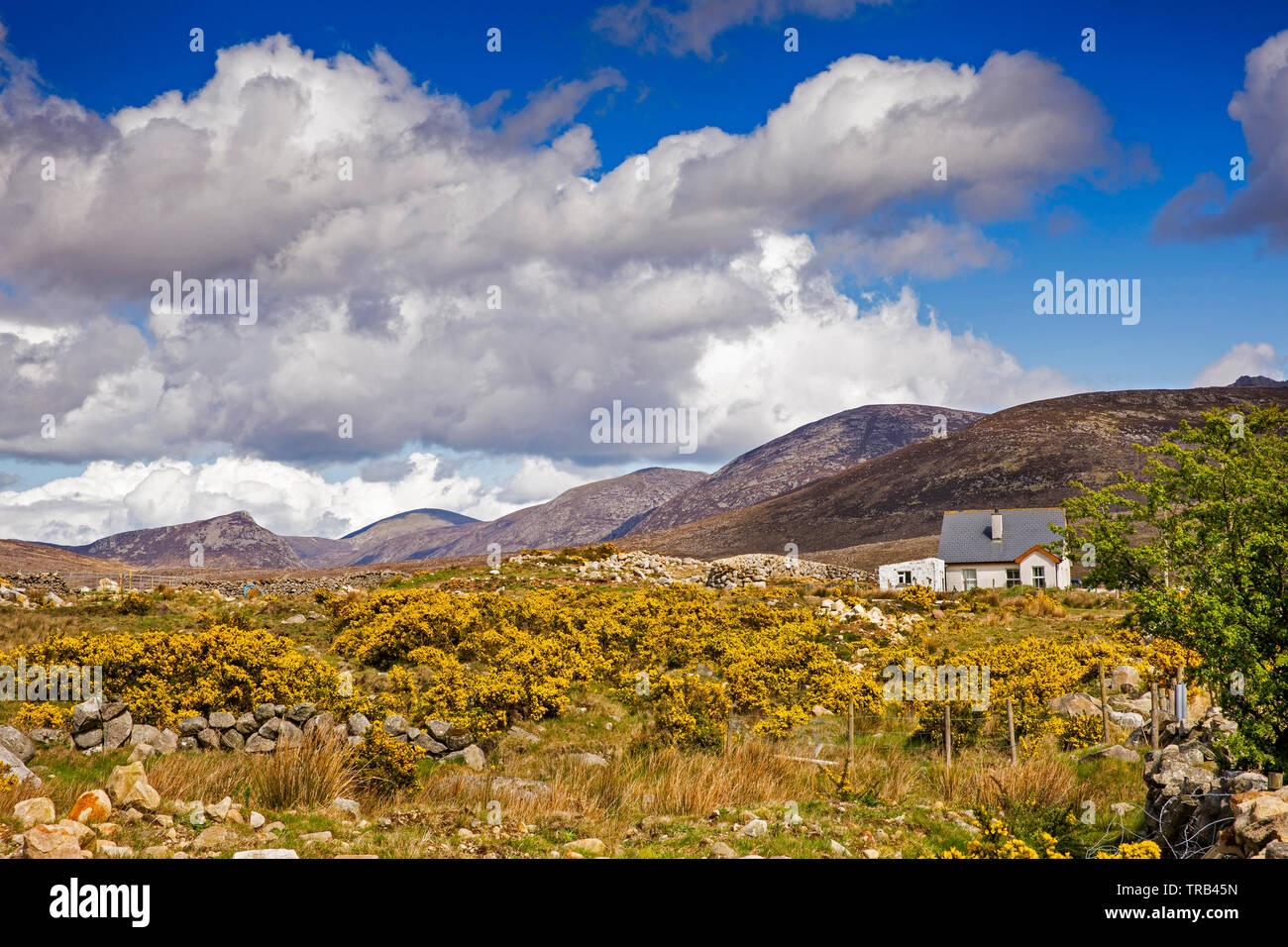 Northern Ireland, Co Down, High Mournes, isolated cottage in rocky ...