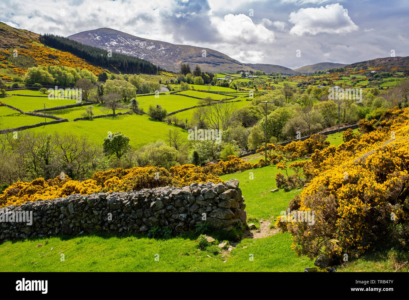 Northern Ireland, Co Down, Clanachullion Bridge, Shimna River valley ...
