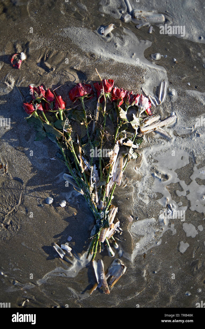 A washed up bouquet of red roses on the beach. A concept for breaking ...
