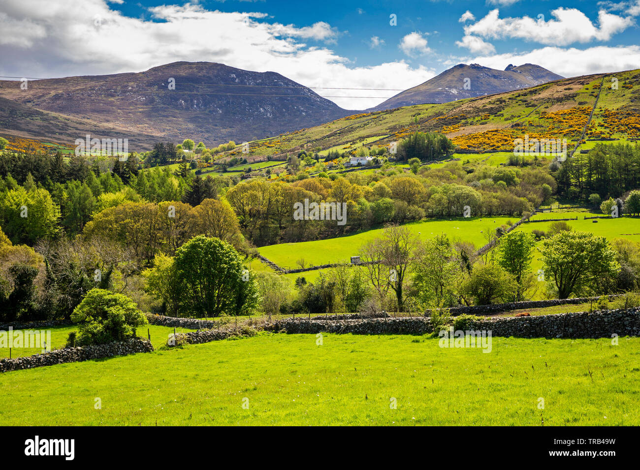 Northern Ireland, Co Down, Clanachullion Bridge, Slievenlaglogh and ...
