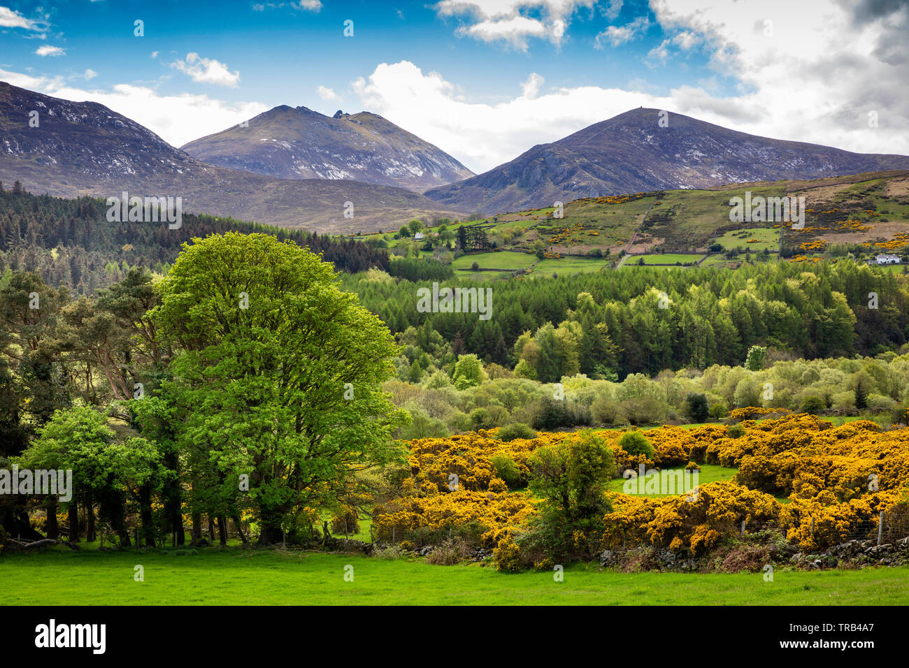 Northern Ireland, Co Down, Clanachullion Bridge, Slieve Bearnach and ...