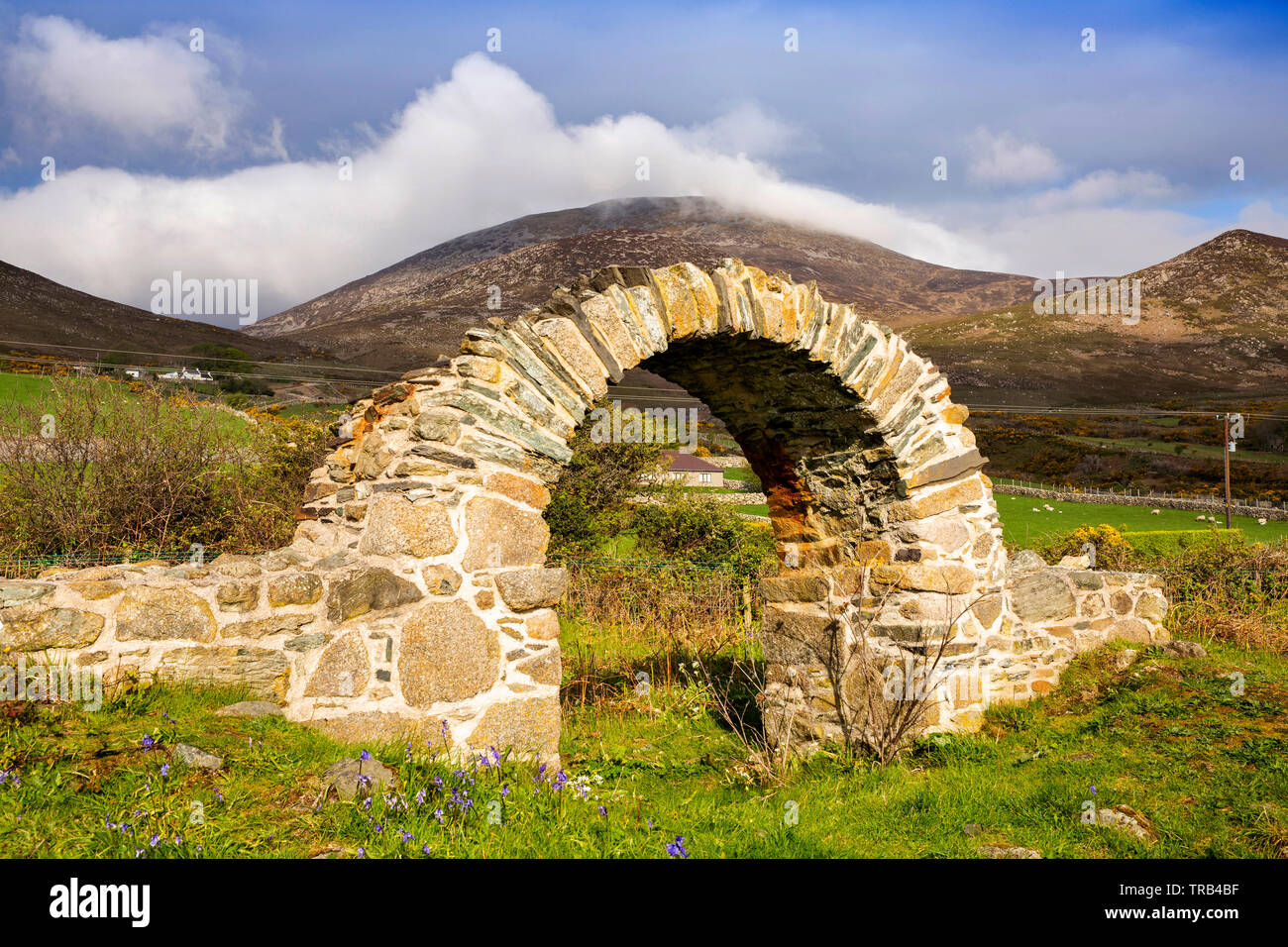 Northern Ireland, Co Down, Newcastle, Bloody Bridge, remains of St Mary ...