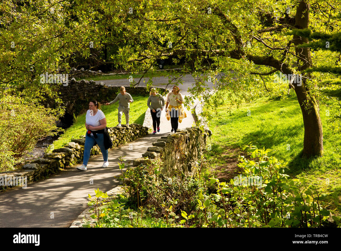 Northern Ireland, Co Down, Bryansford, Tollymore Forest Park, family ...