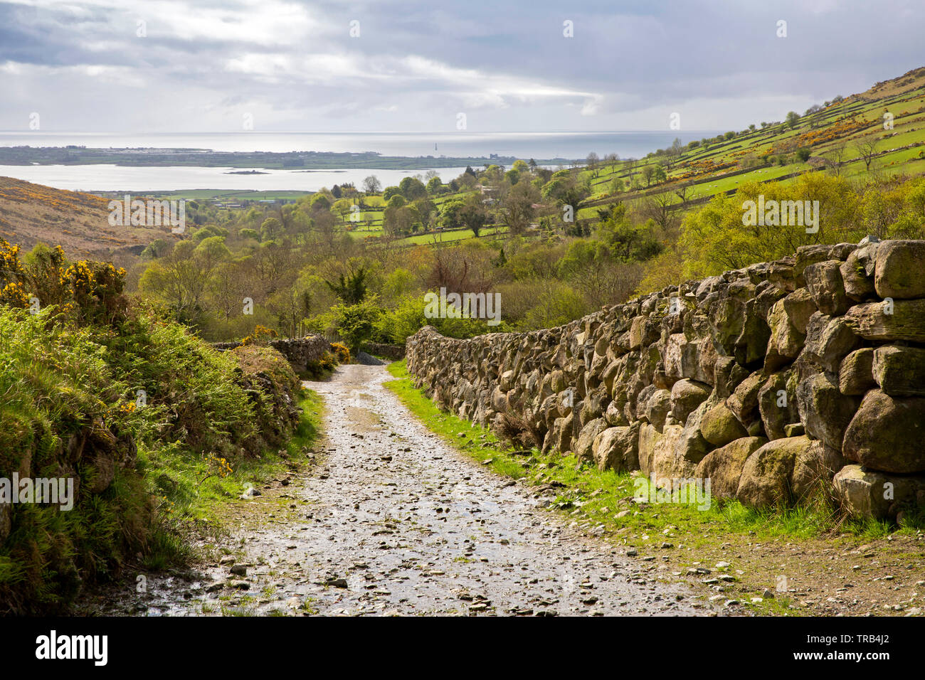 Old farm buildings ireland hi-res stock photography and images - Alamy