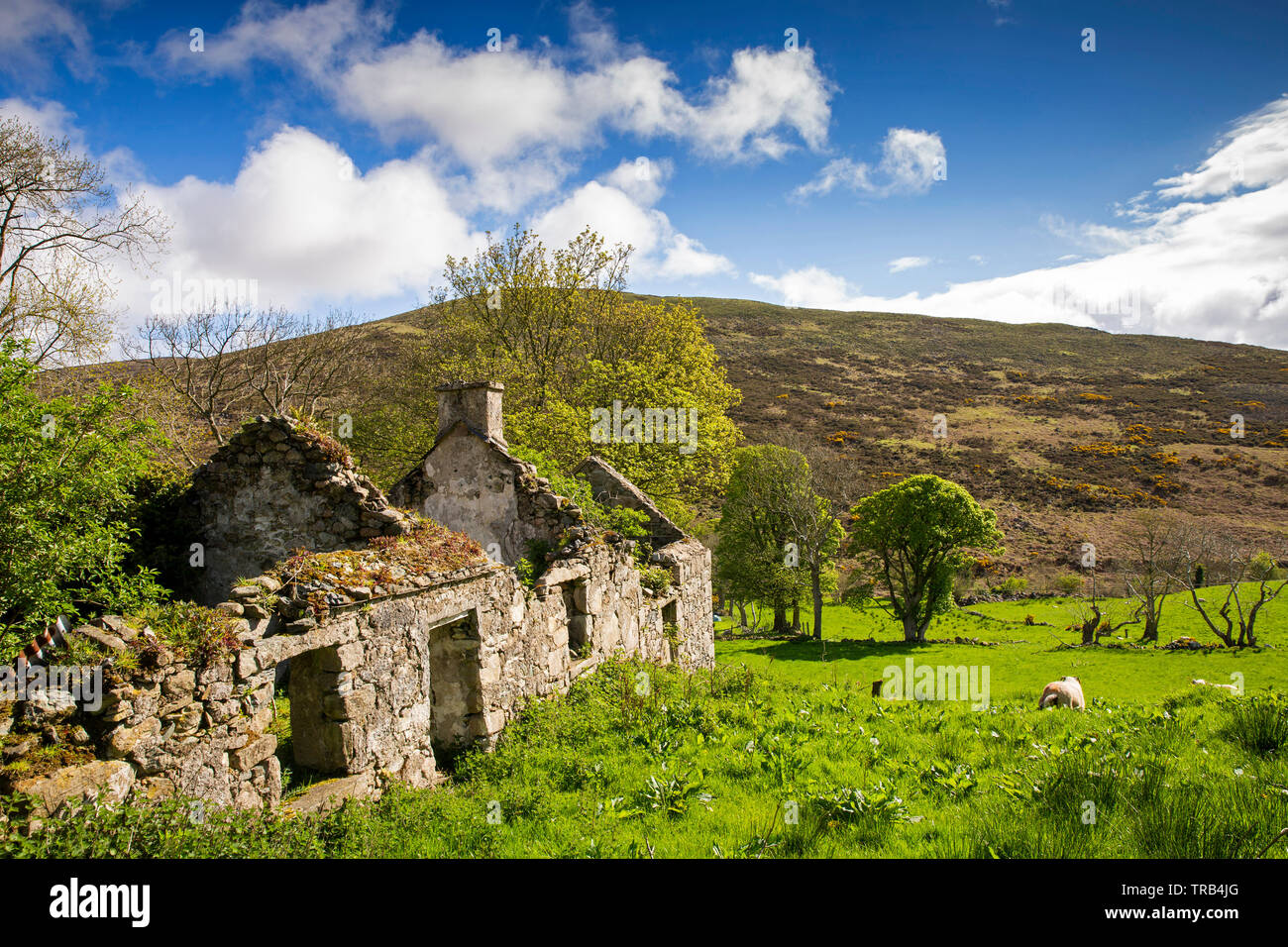 Old farm buildings ireland hi-res stock photography and images - Alamy