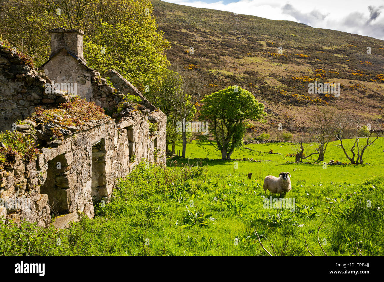 Old farm buildings ireland hi-res stock photography and images - Alamy