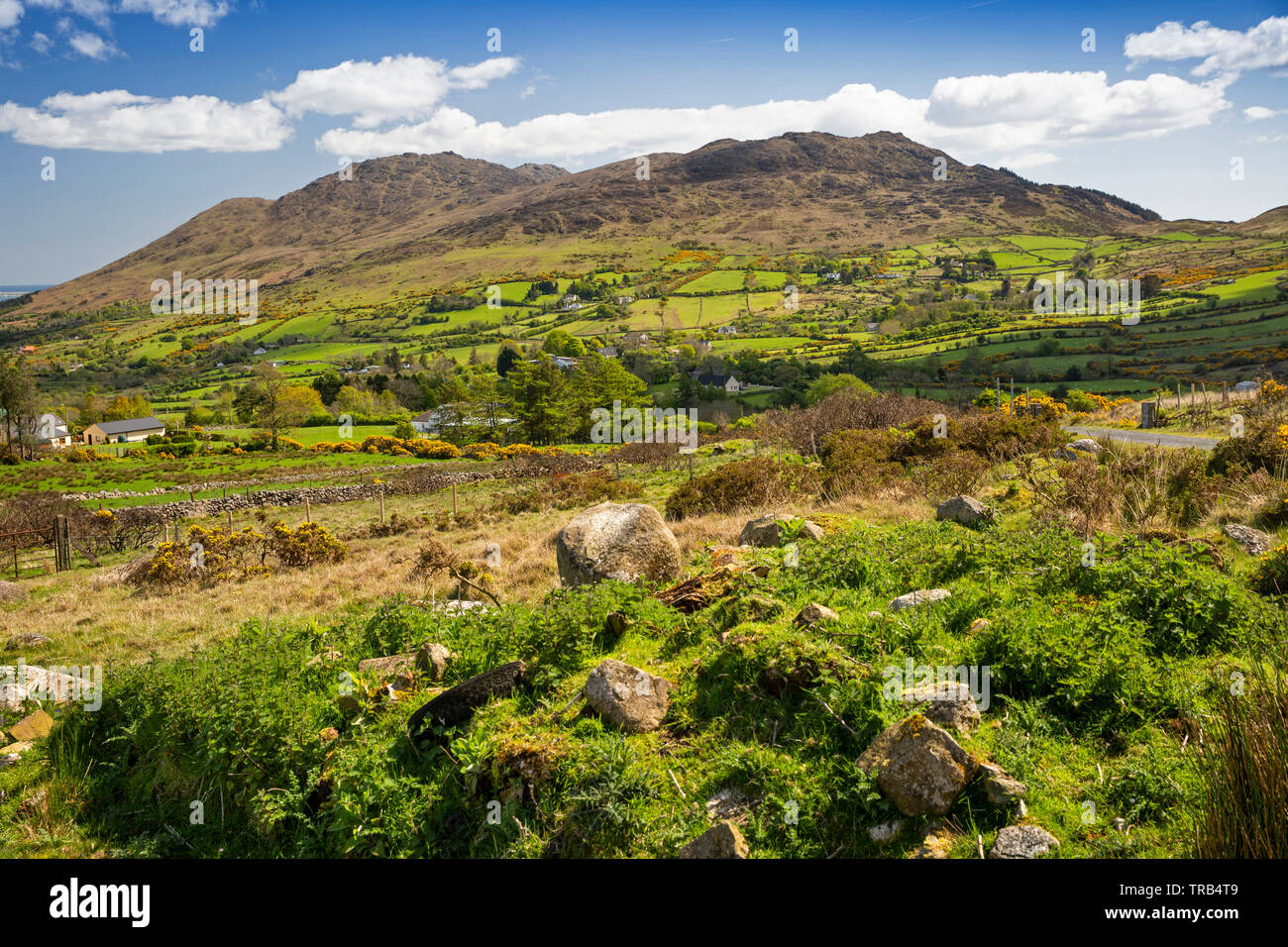 Green Fields Of Ireland High Resolution Stock Photography and Images ...