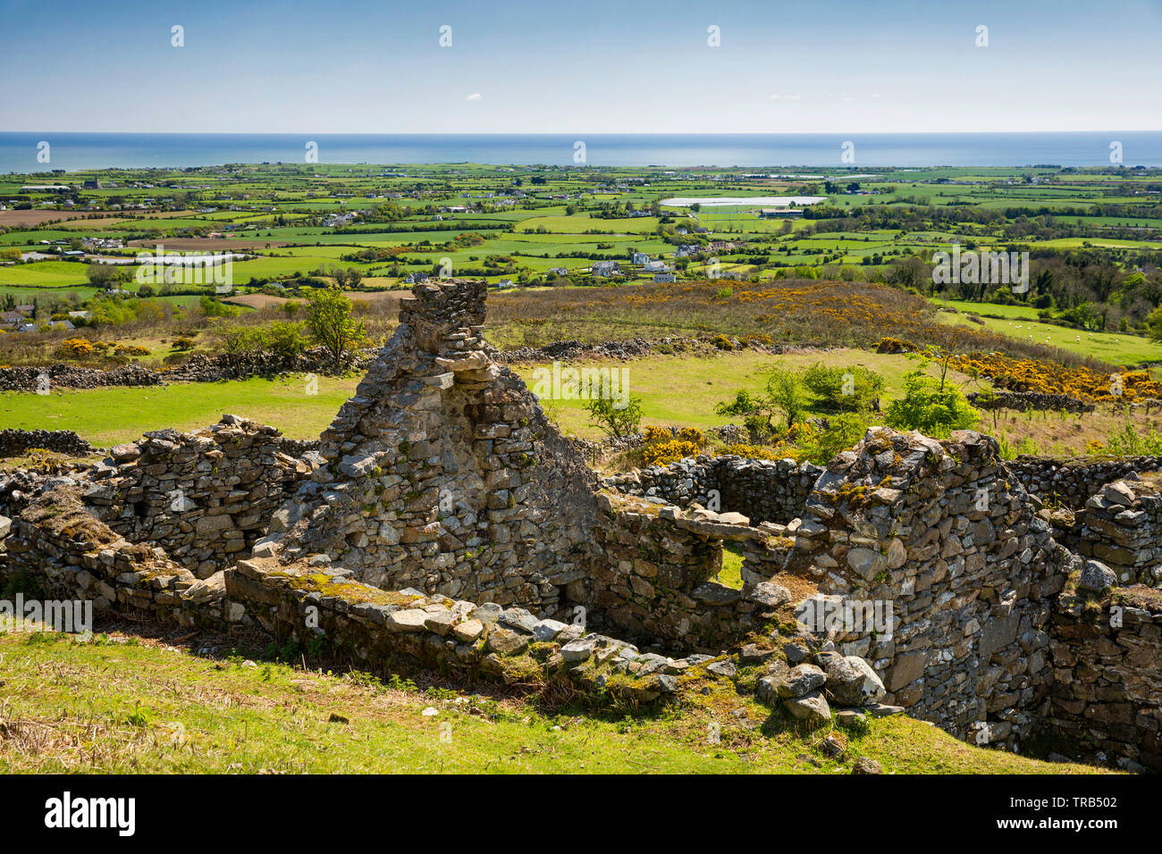 Ireland, Co Louth, Cooley Peninsula, Rooskey, ruins of house in ...