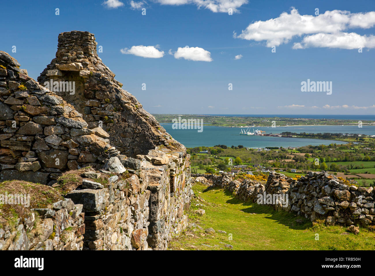 Ireland, Co Louth, Cooley Peninsula, Rooskey, ruins of house in ...