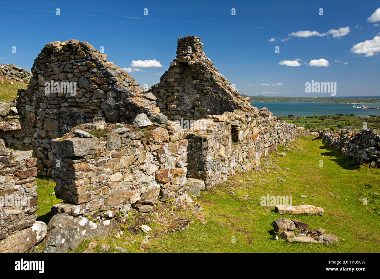 Ireland, Co Louth, Cooley Peninsula, Rooskey, ruins of house in ...