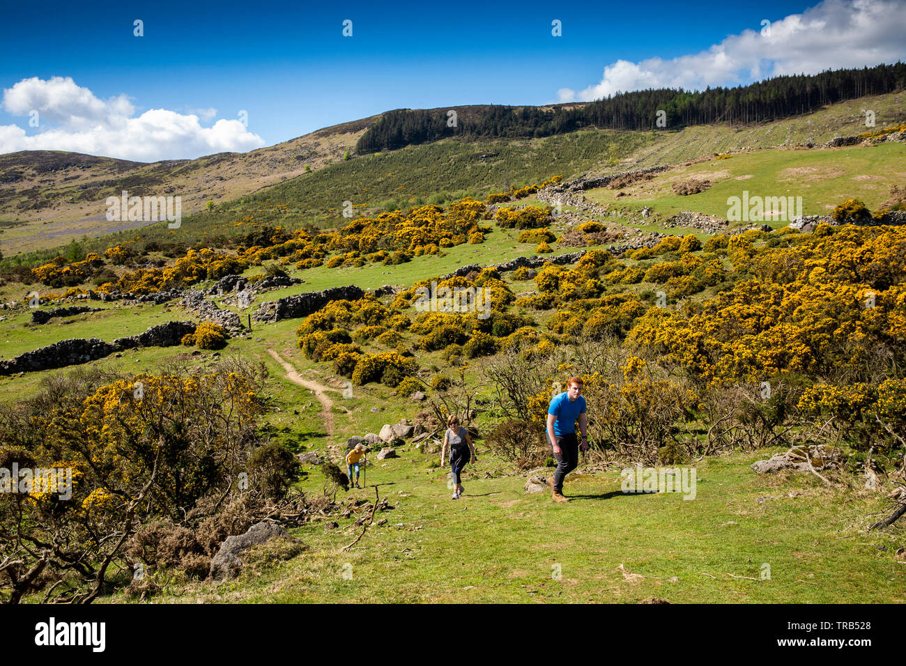Ireland, Co Louth, Cooley Peninsula, Rooskey, visitors walking up steep ...