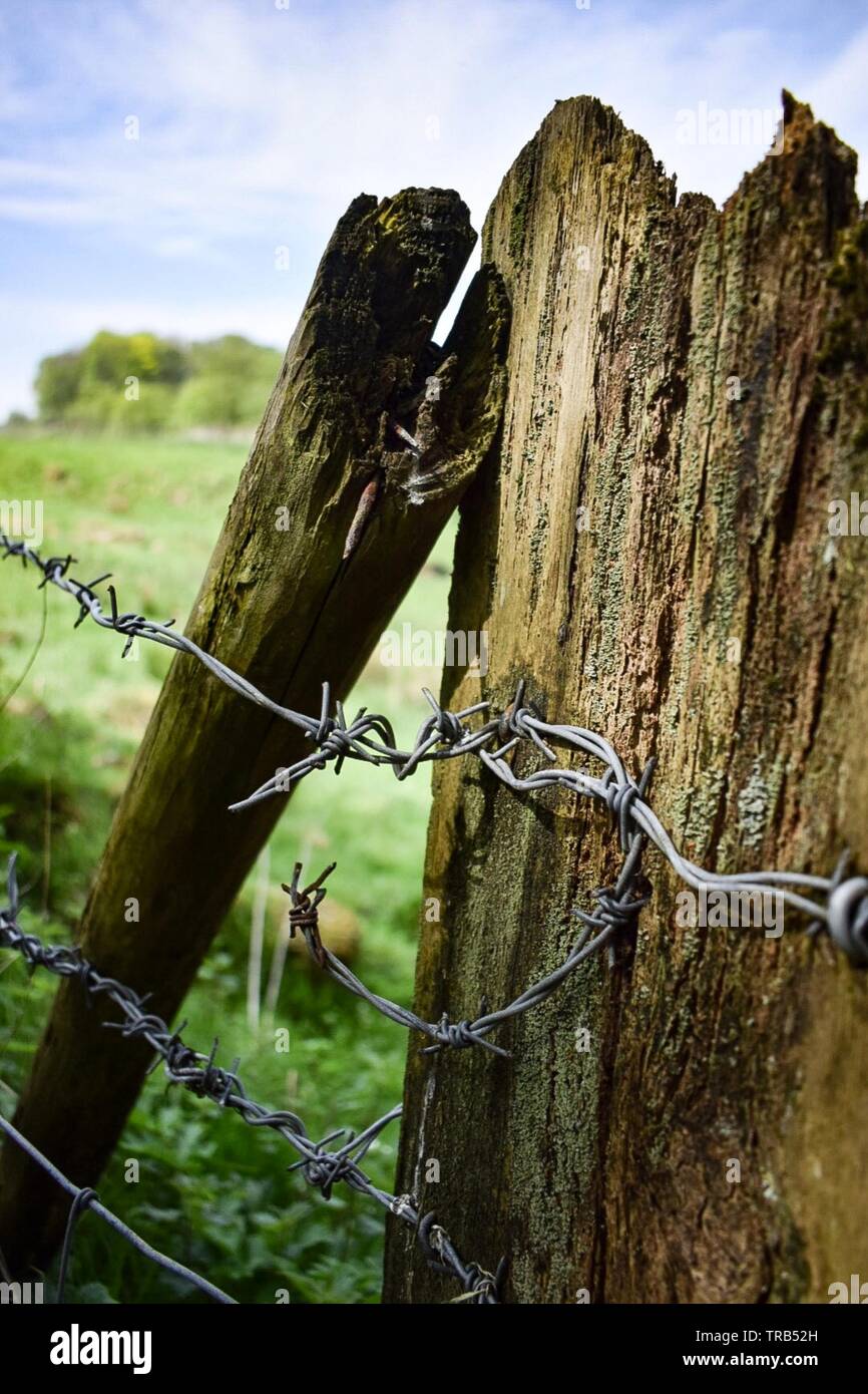 Fence with barbed wire Stock Photo - Alamy