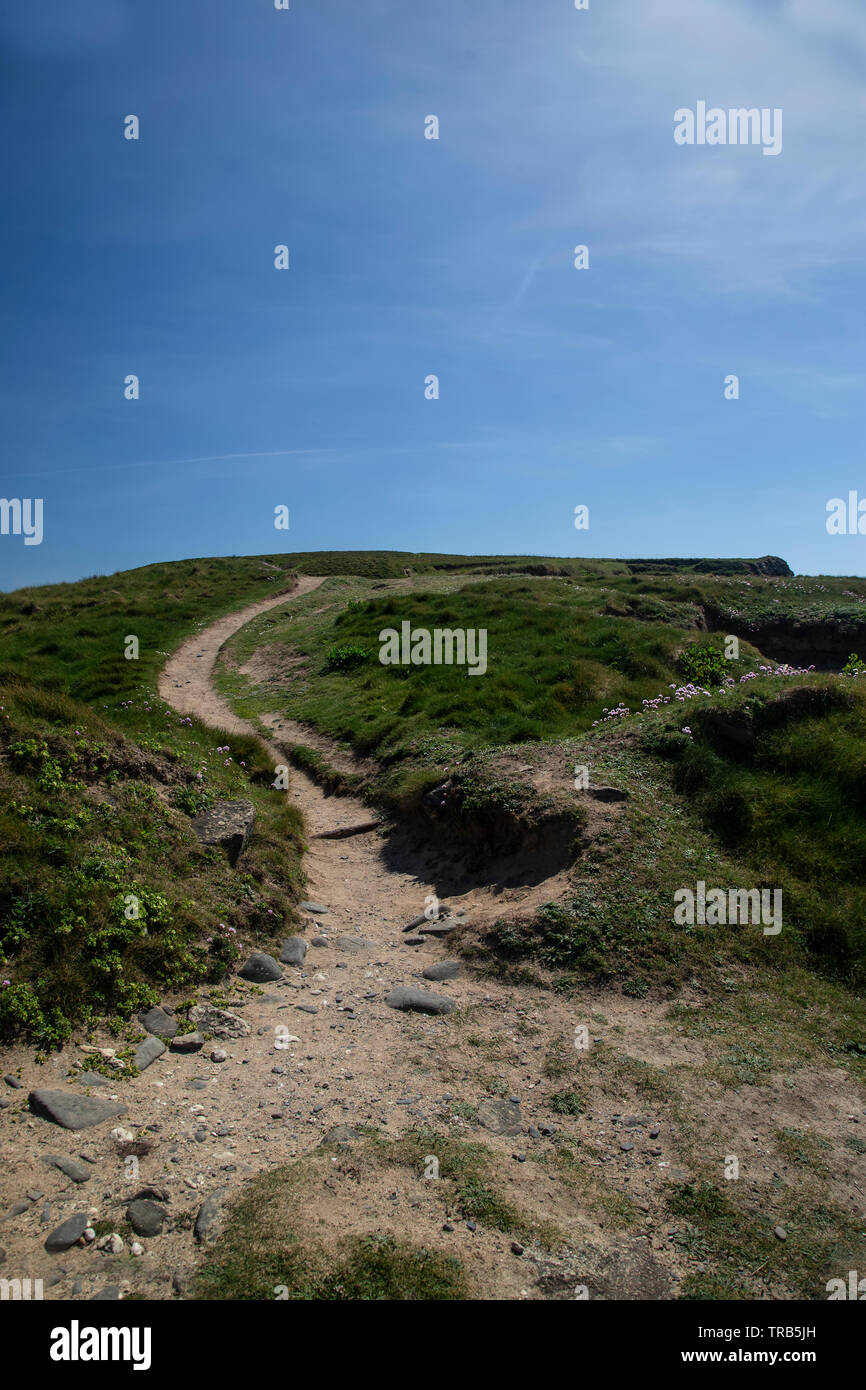 A view of a Cornish coastal path on the Lizard peninsula in Cornwall ...