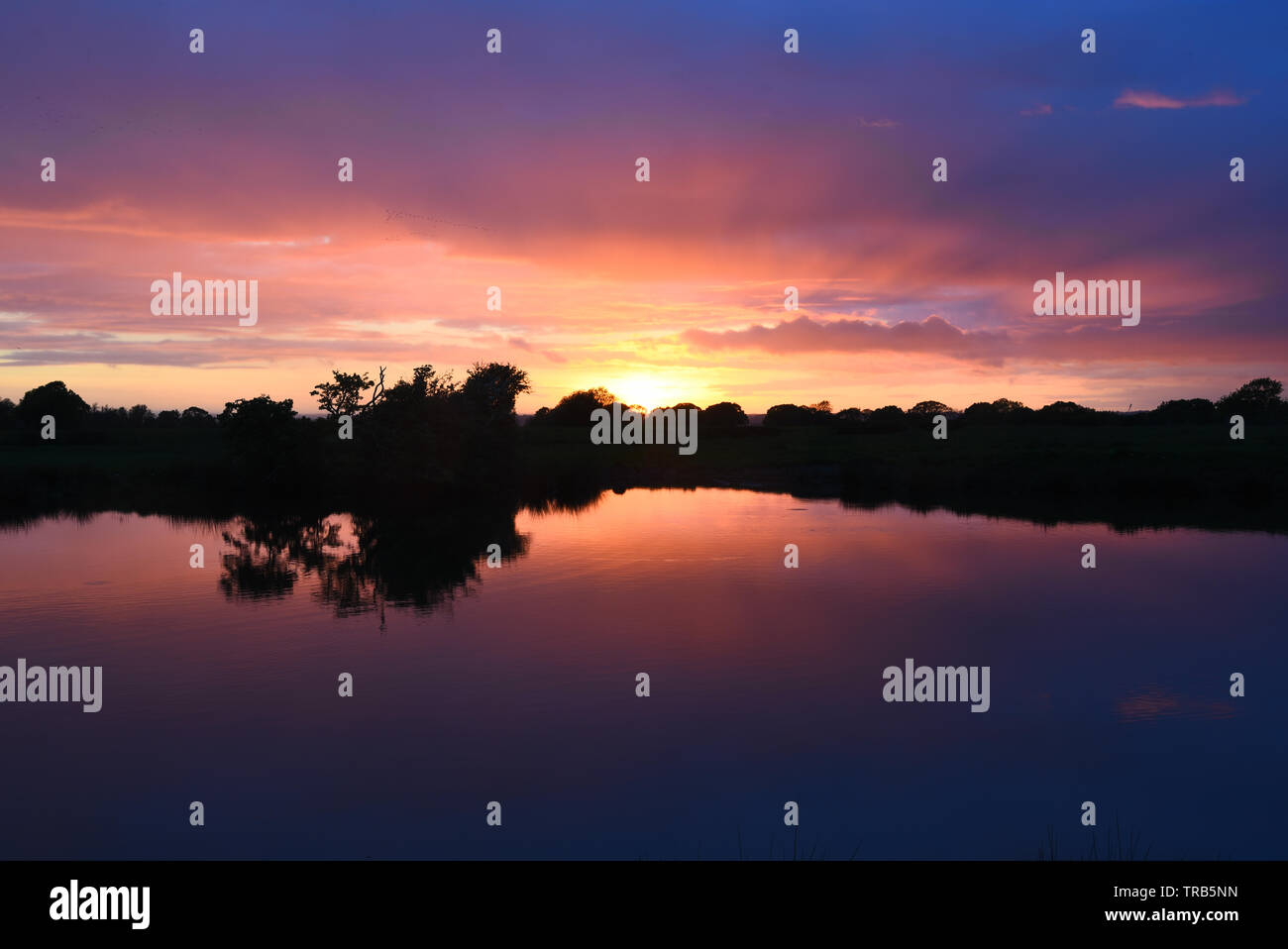Sunset reflections on still water Stock Photo - Alamy