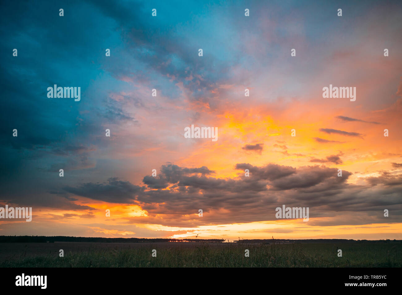 Spring Summer Meadow At Evening Sunset Sunrise. Natural Bright Dramatic ...