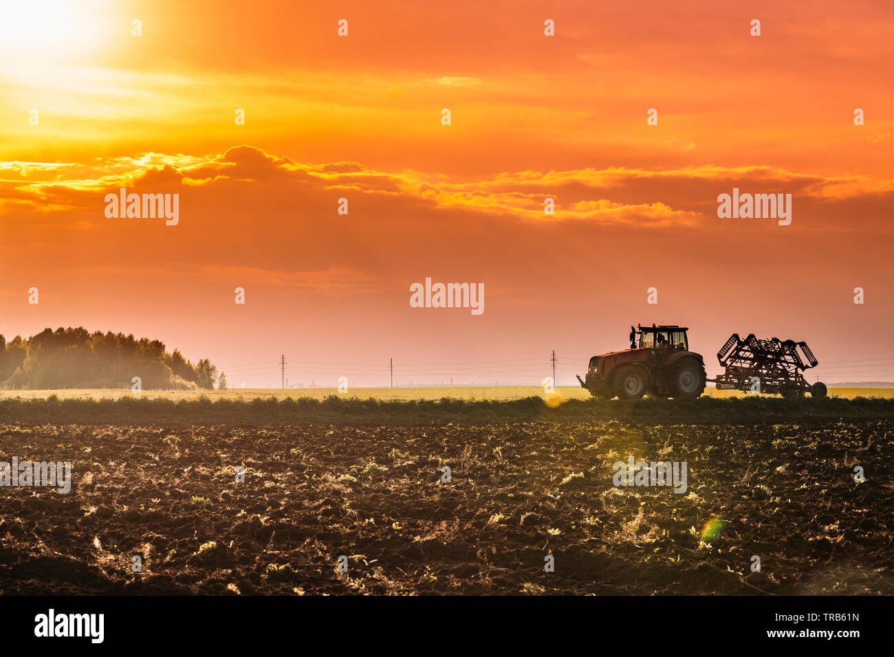 Tractor On Road In Spring Season. Beginning Of Agricultural Spring ...