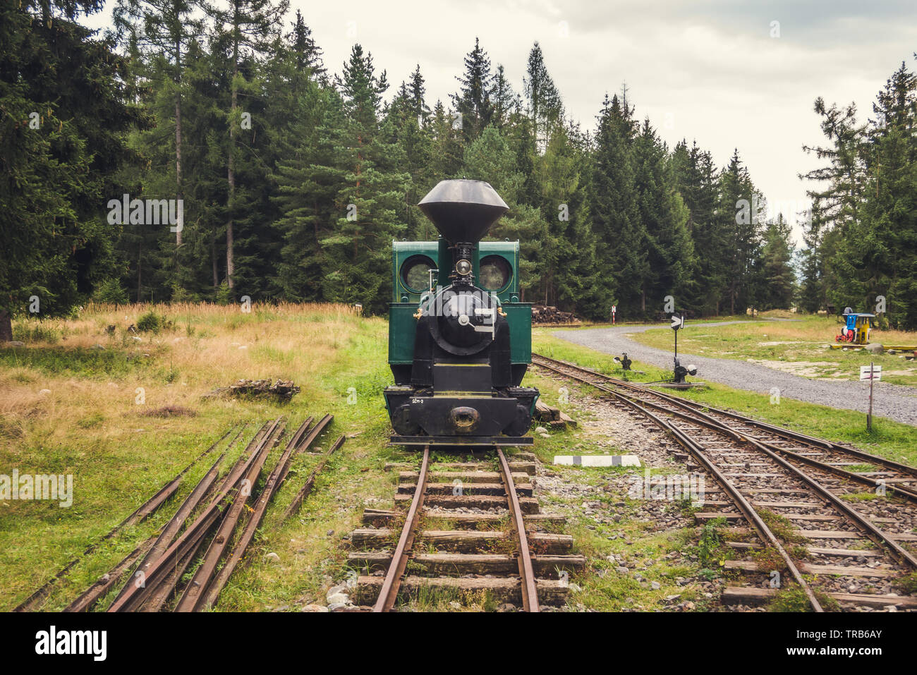 Beautiful Old Steam Locomotive in the Forest Front View Stock Photo - Alamy